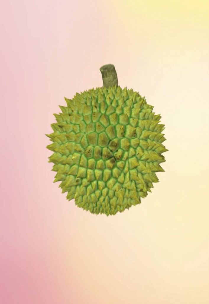 Gardenia Roti Durian & Strawberi Baru!